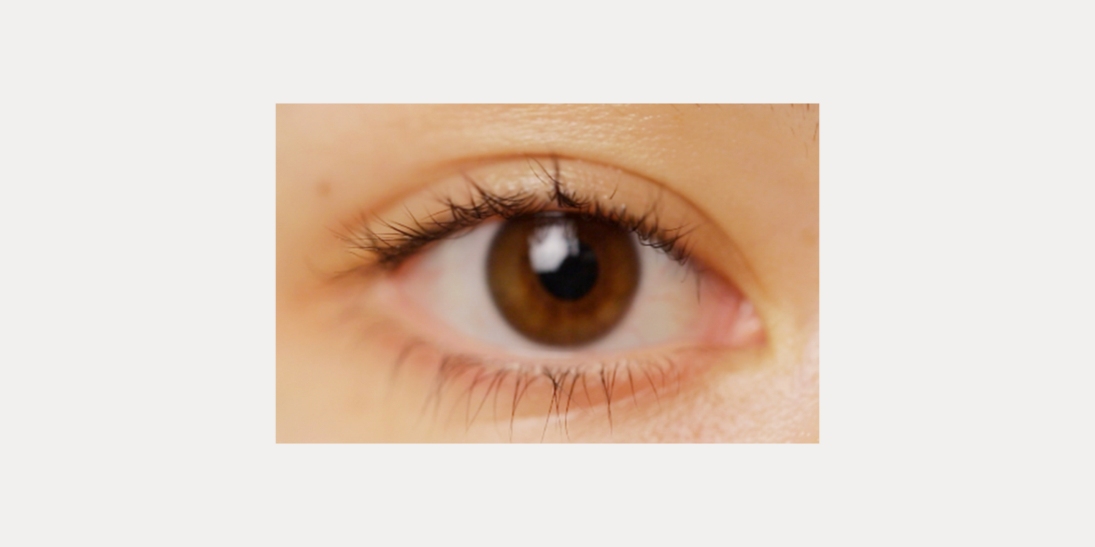 LASHFOOD: Eyelash Serum, Natural Brow & Lash Enhancer, Eyebrow Serum