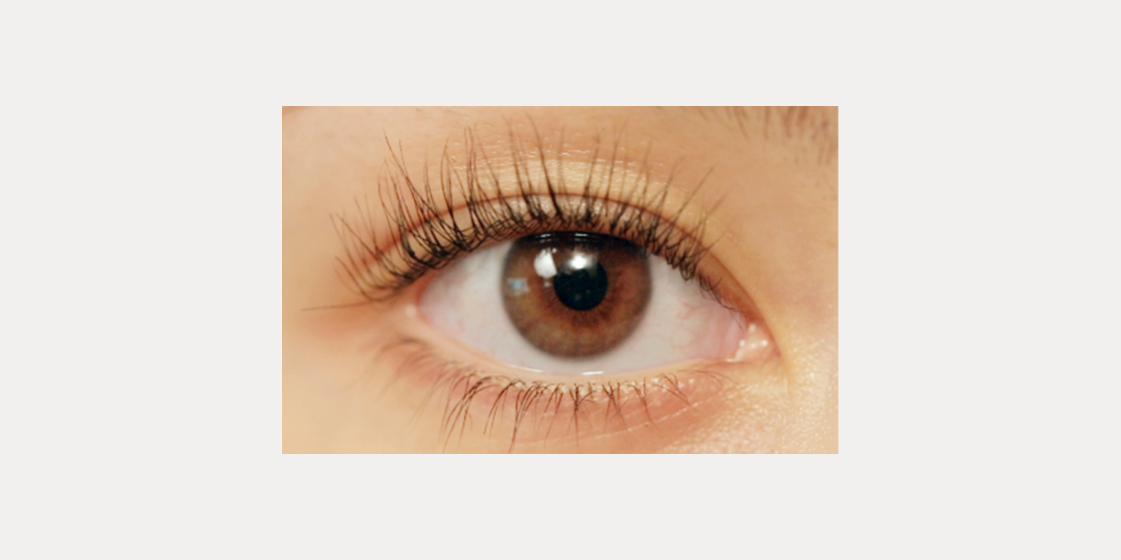 LASHFOOD: Eyelash Serum, Natural Brow & Lash Enhancer, Eyebrow Serum